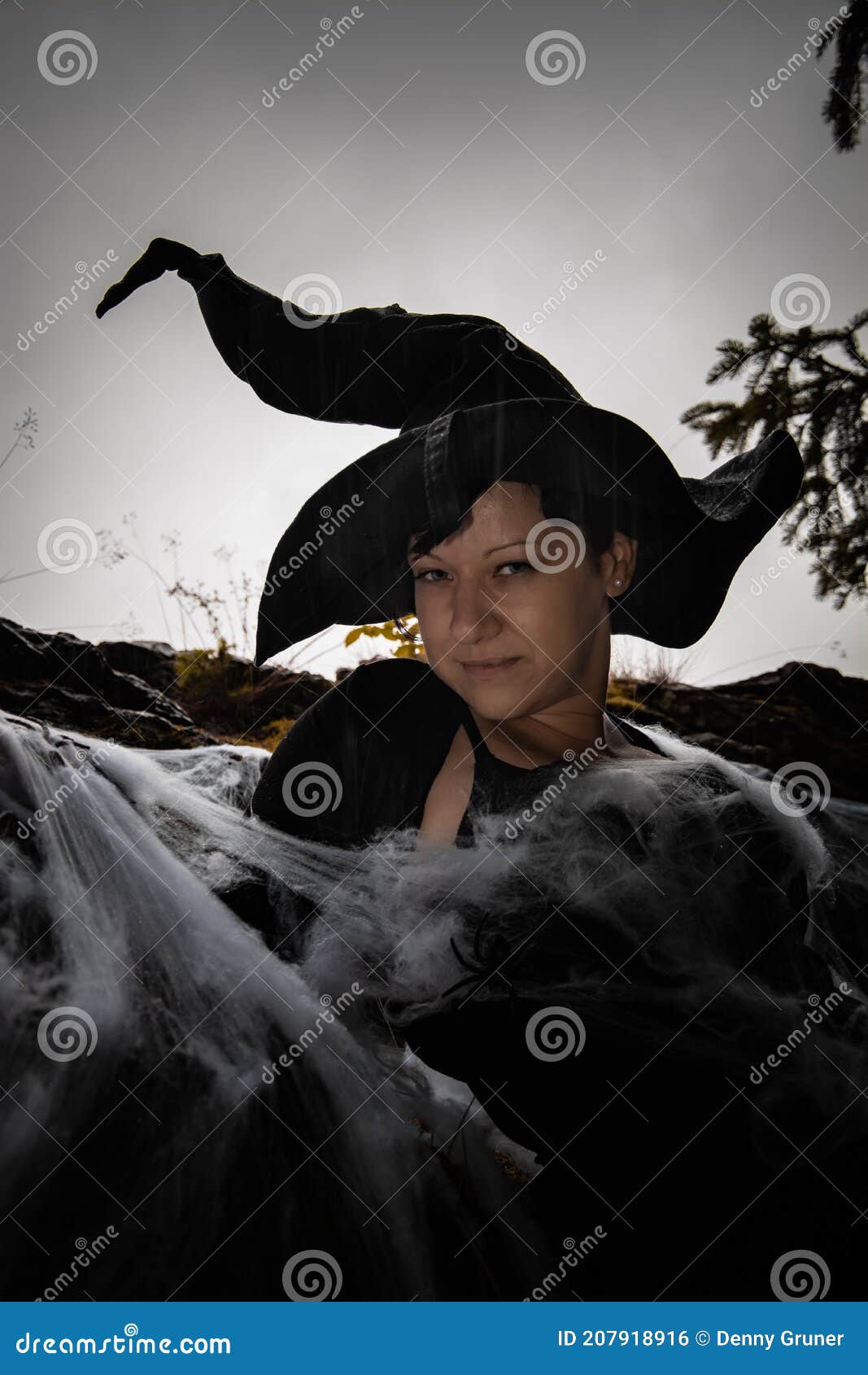Witch with Spiders and Cobwebs Stock Photo - Image of insect, spiders ...