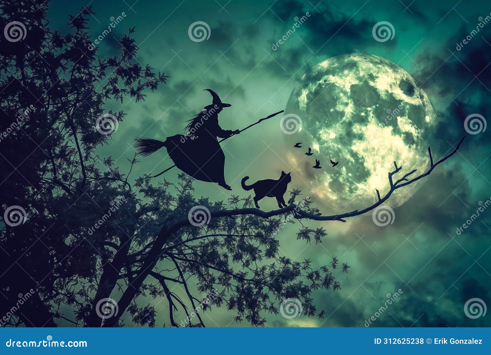 Witch Stuck Tree, Laughing, Broomstick Mishap Stock Photo ...
