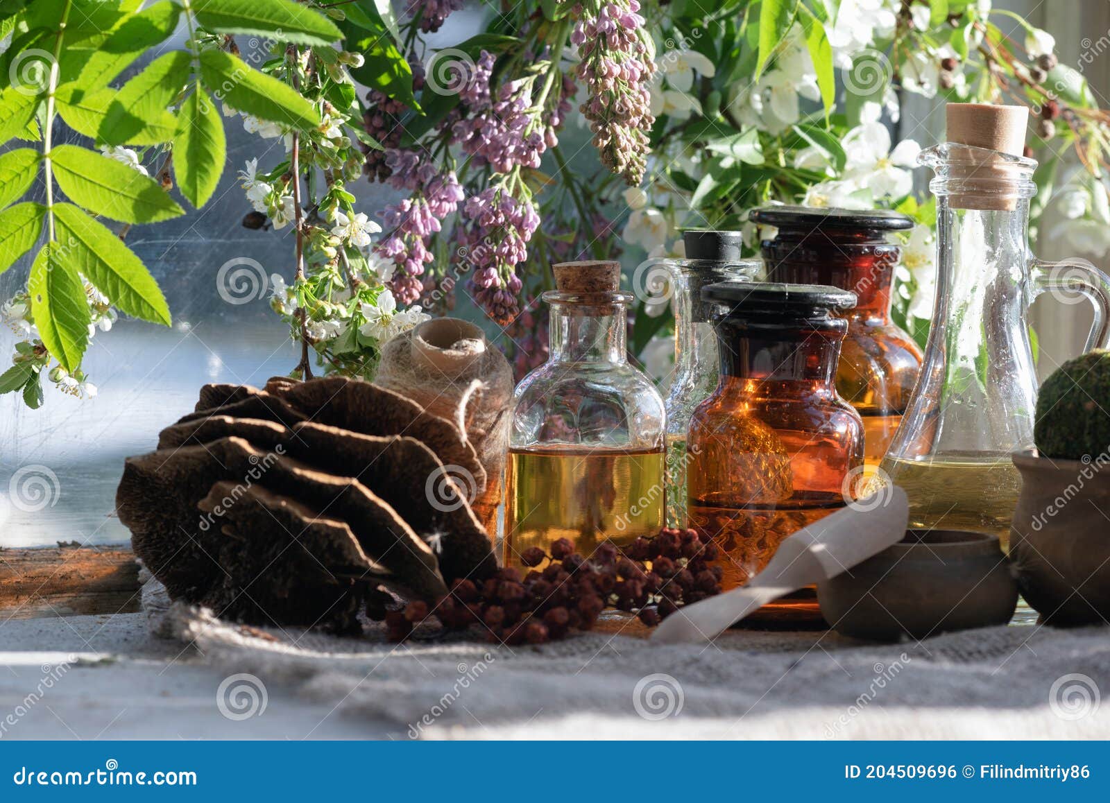 Witchcraft. stock photo. Image of concept, drink, dried - 204509696