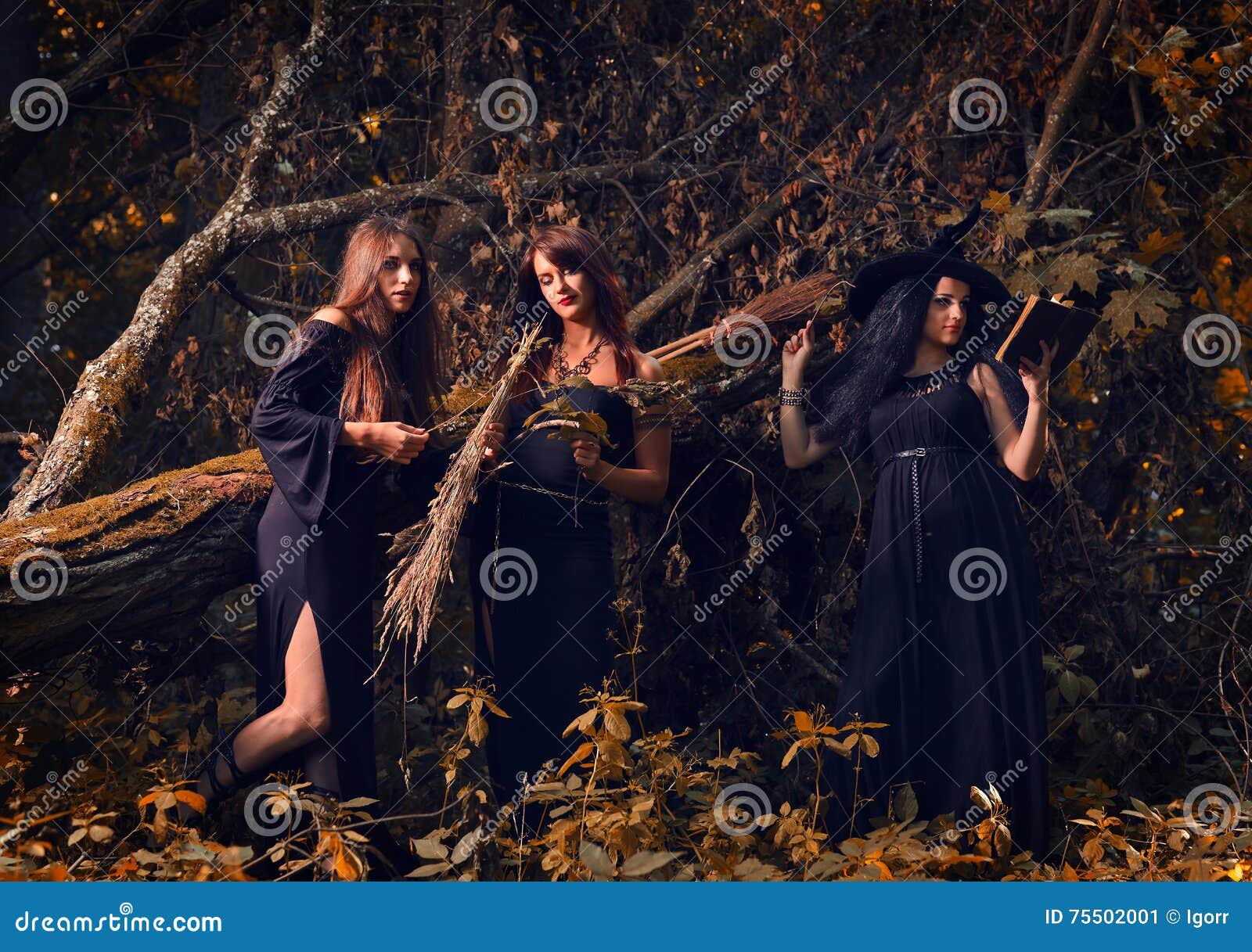 Witches in a dark forest stock image. Image of three - 75502001