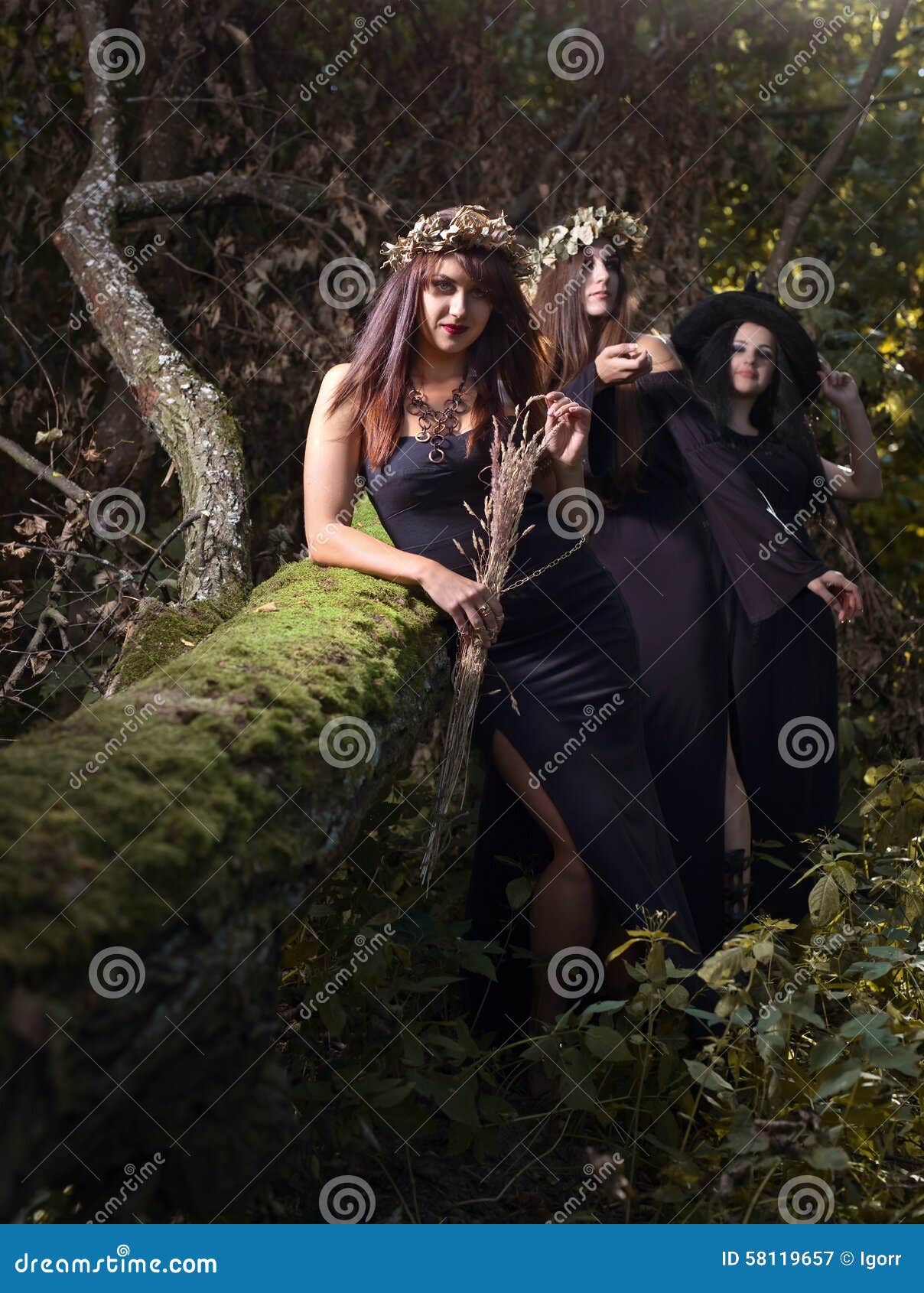Witches in dark forest stock image. Image of hair, halloween - 58119657