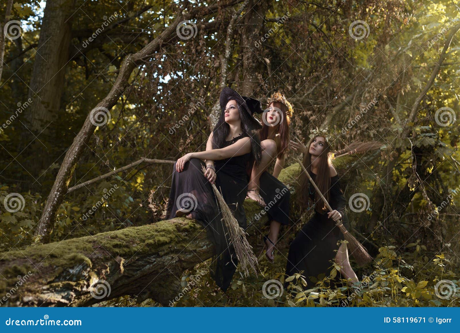 Witches in dark forest stock image. Image of beauty, halloween - 58119671