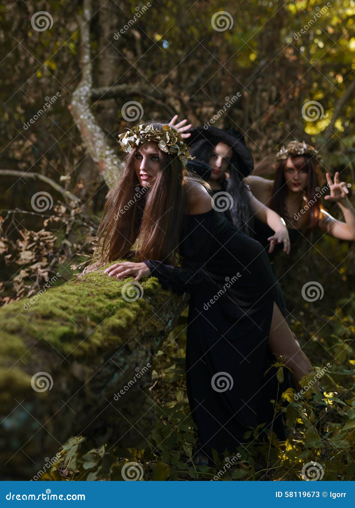 Witches in dark forest stock image. Image of fantasy - 58119673
