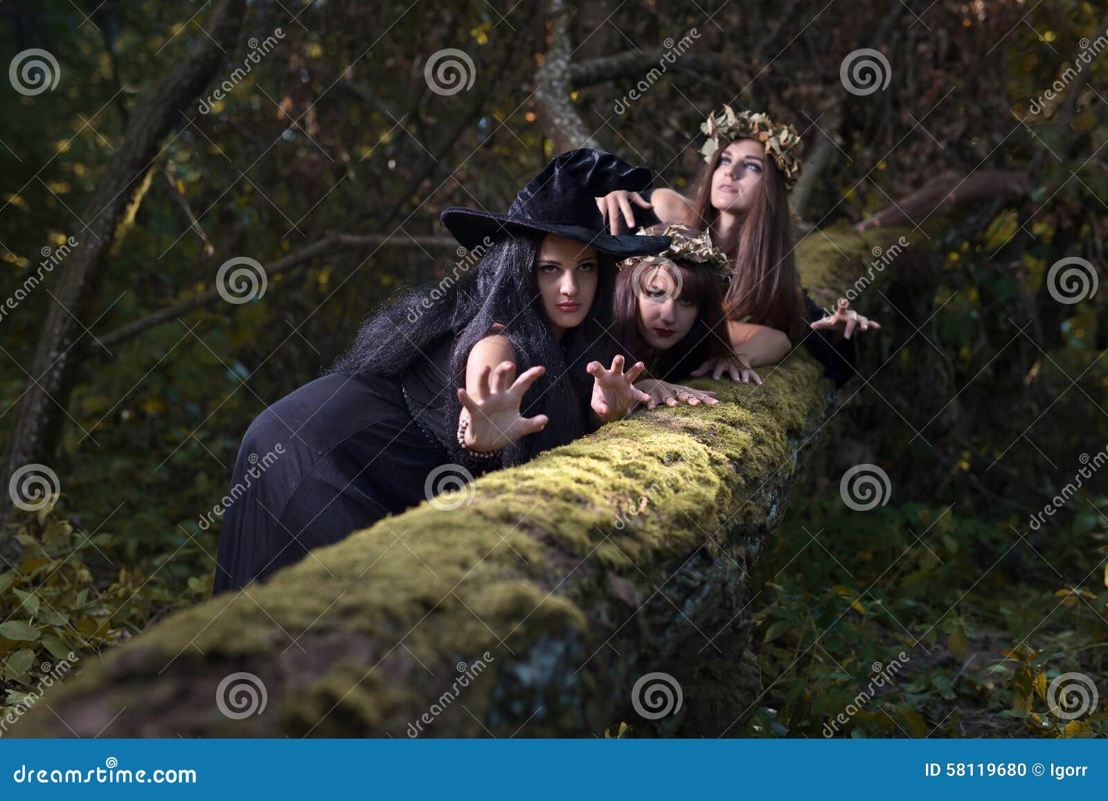 Witches in dark forest stock photo. Image of lady, fairy - 58119680