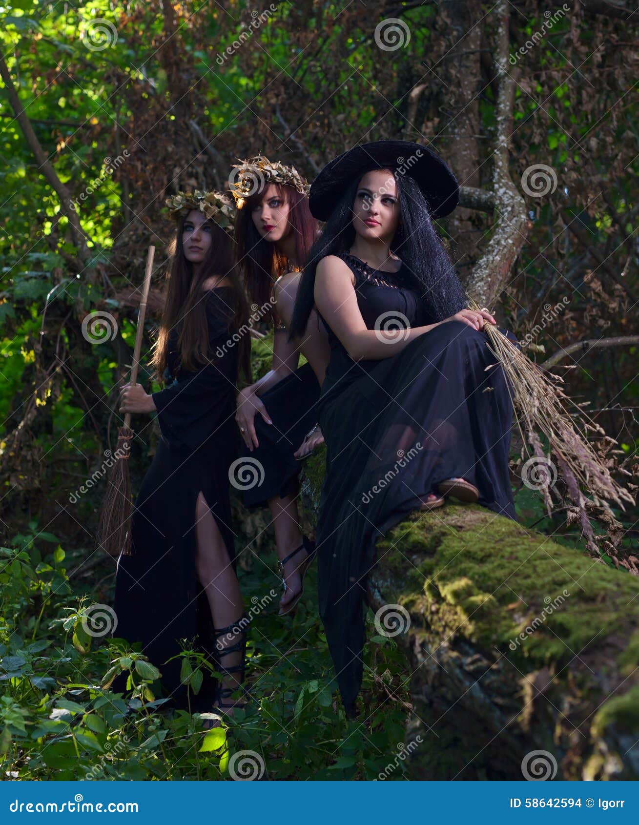 Witches in dark forest stock photo. Image of long, hair - 58642594
