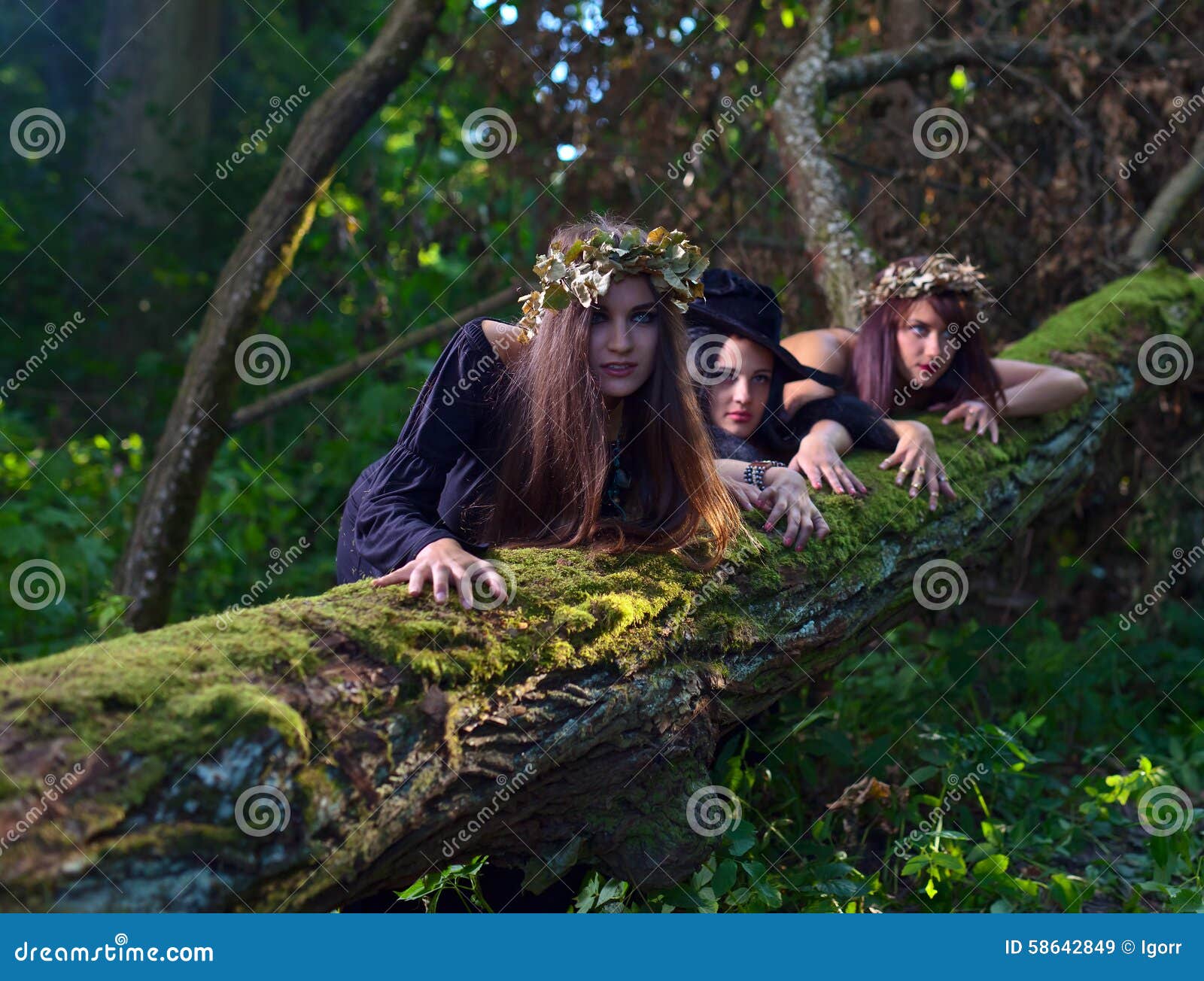 Witches in dark forest stock image. Image of white, style - 58642849
