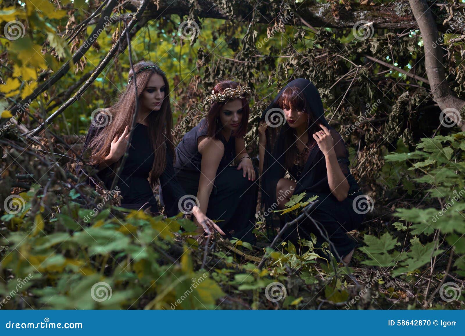 Witches in dark forest stock photo. Image of grass, fairytale - 58642870