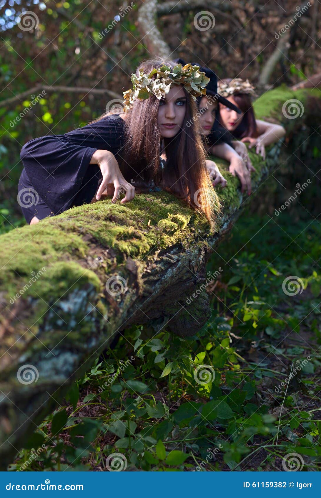 Witches in dark forest stock photo. Image of nature, style - 61159382