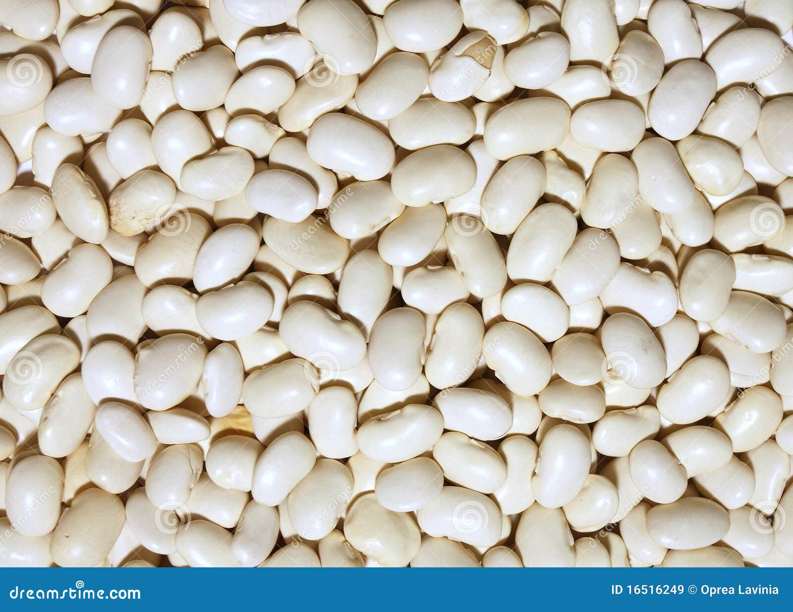 Withe beans stock image. Image of background, cook, food - 16516249