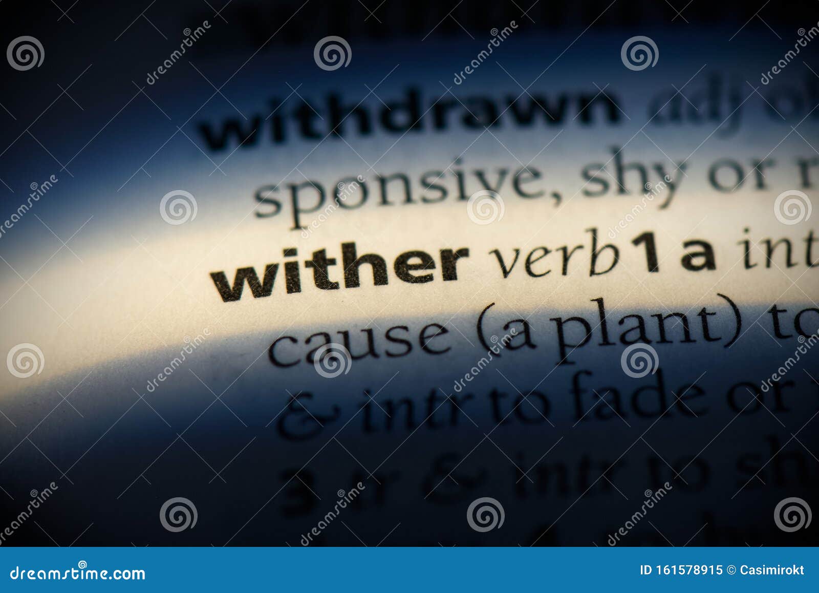 Wither stock image. Image of definition, closeup, wither - 161578915