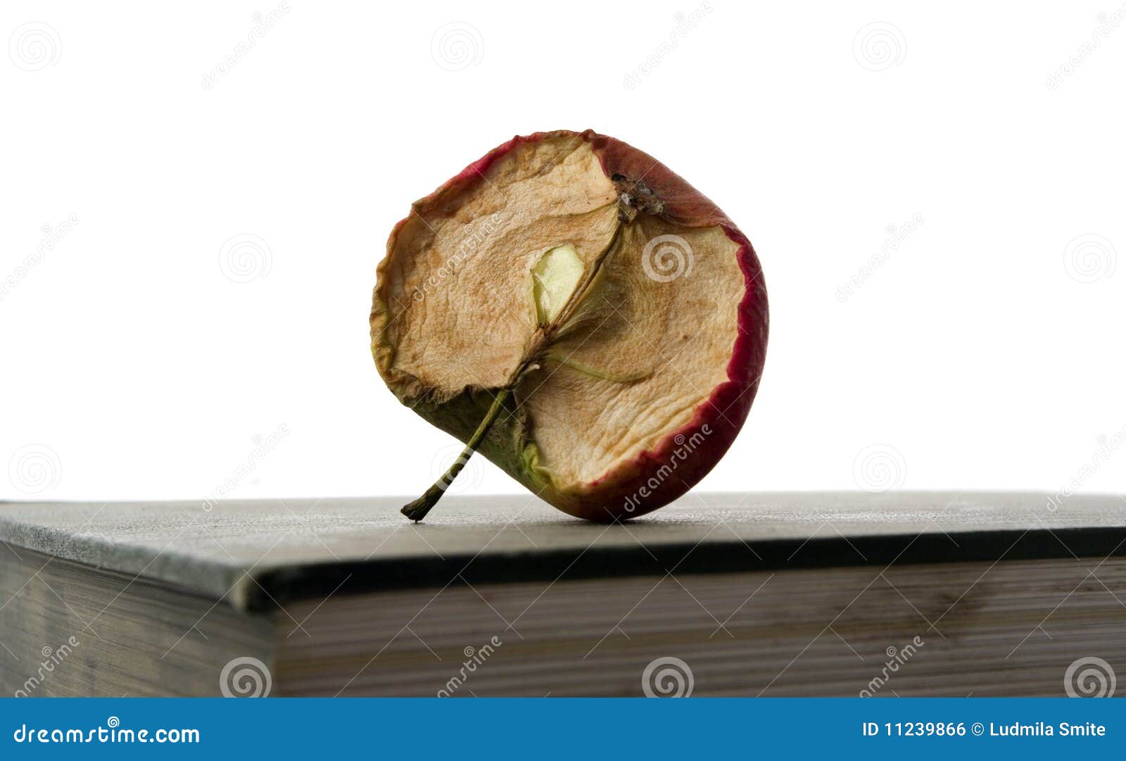 Withered apple. stock photo. Image of organic, inedible - 11239866