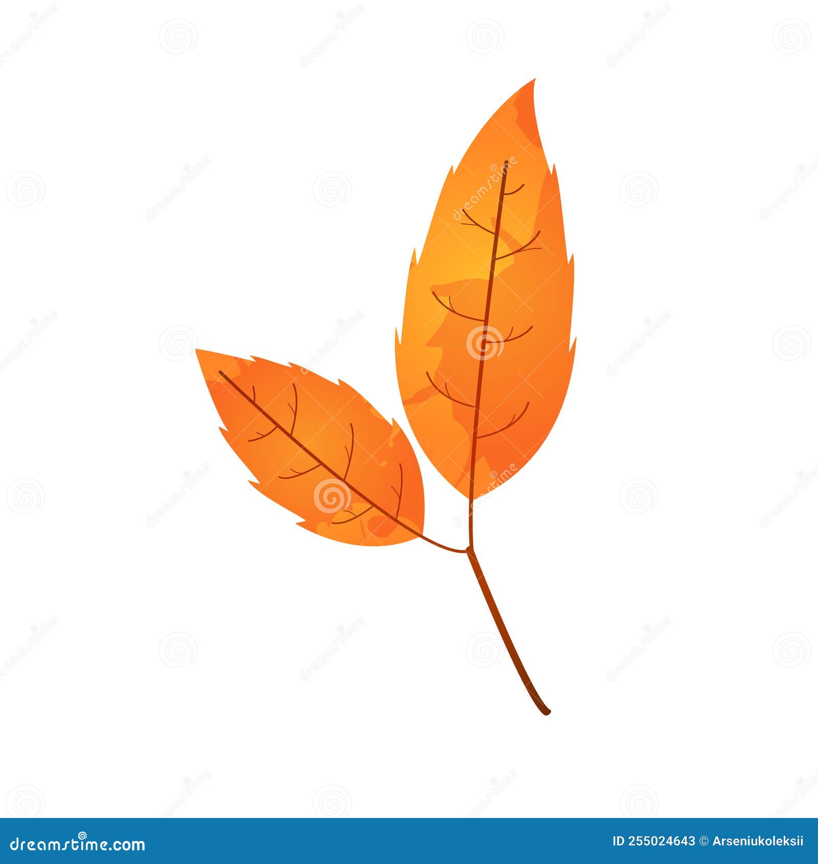 Withered Autumn Motley Leaf. Fallen Leaf With Blot Texture Vector ...