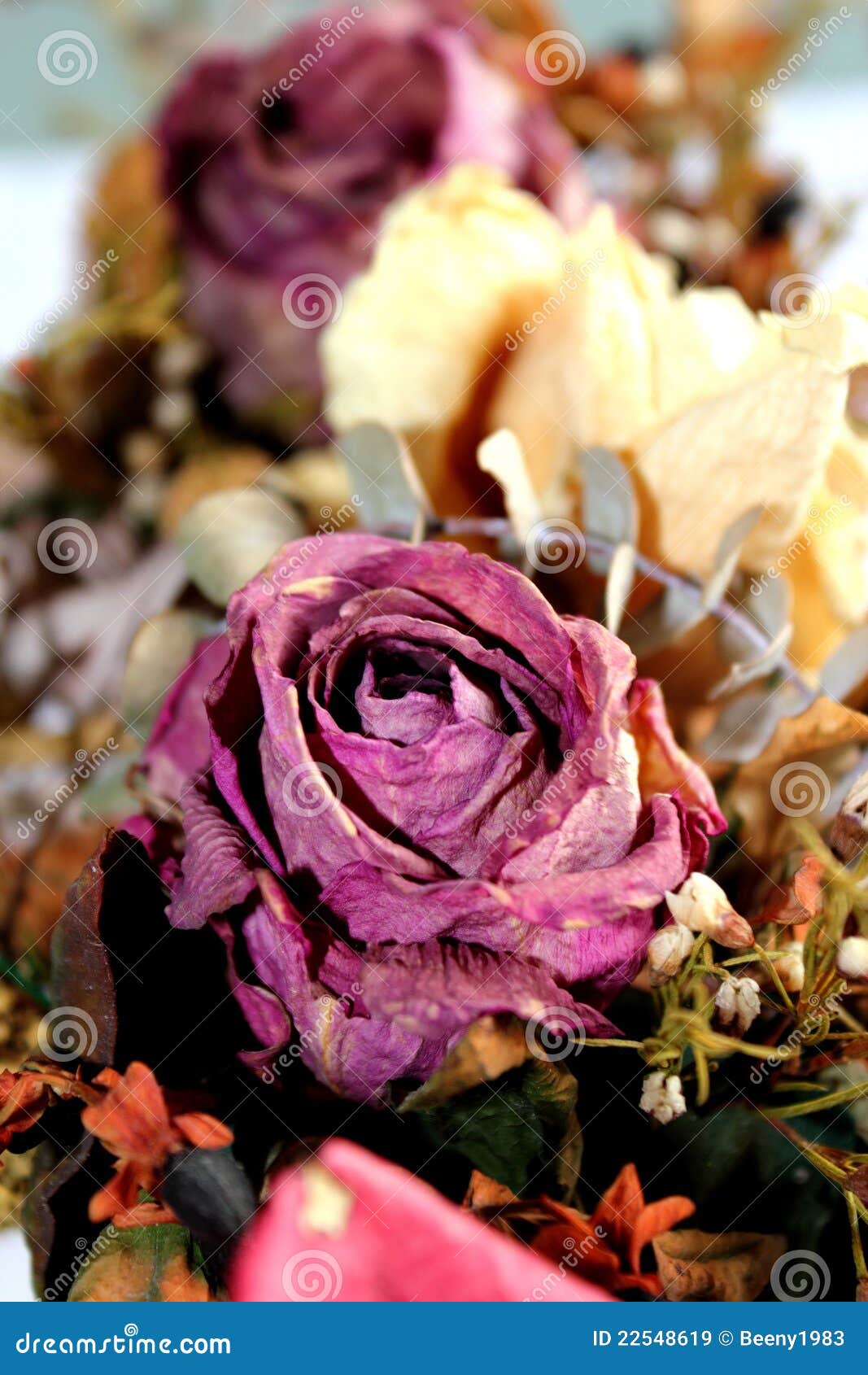 Withered bouquet stock image. Image of funeral, roses - 22548619