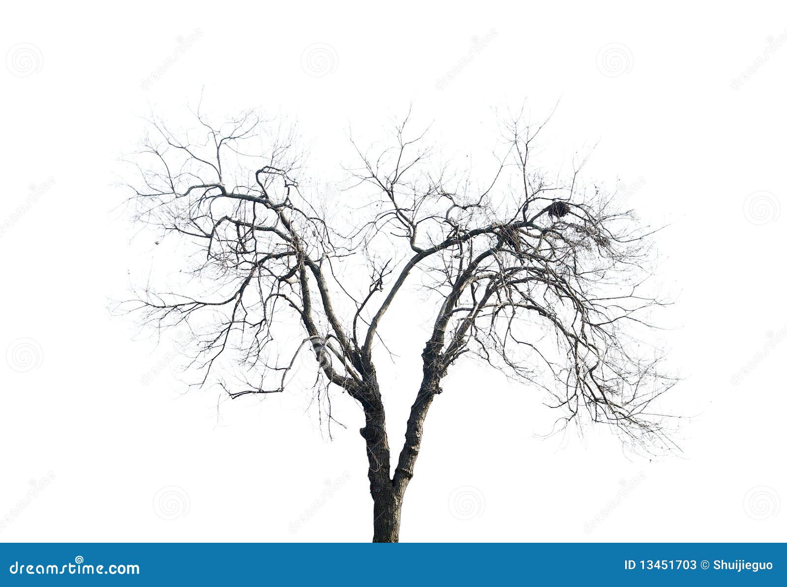 Withered Branches stock image. Image of season, empty - 13451703