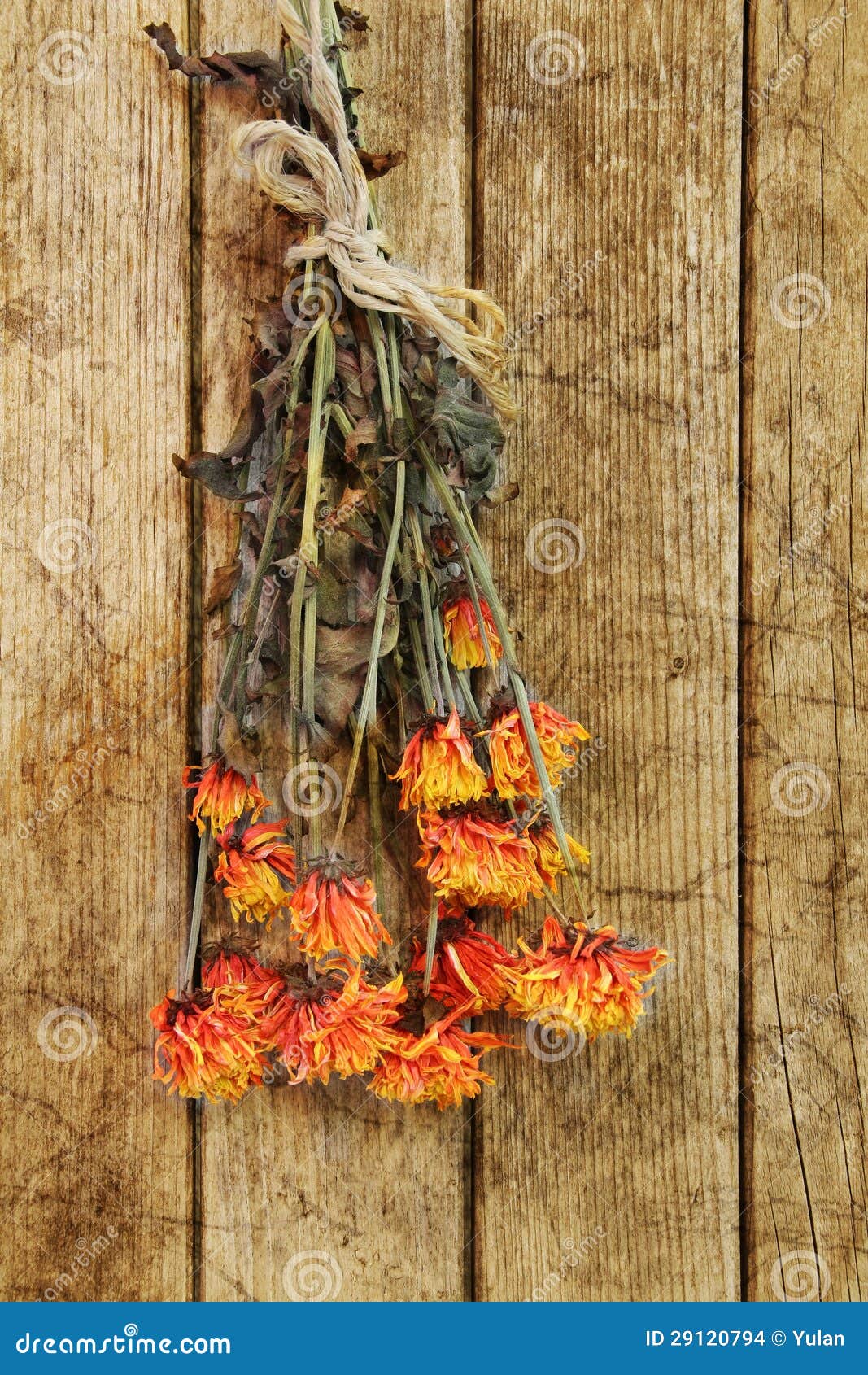 Grunge Old Withered Wooden Texture Stock Photo | CartoonDealer.com ...