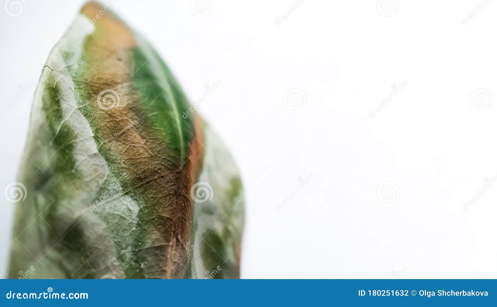 Sick Man With Green Mucus Running Down His Nose Royalty-Free Stock ...
