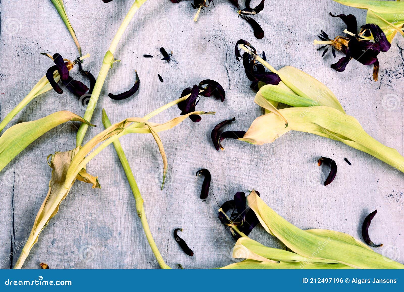Withered Flowers Background Stock Photo - Image of leaf, bouquet: 212497196