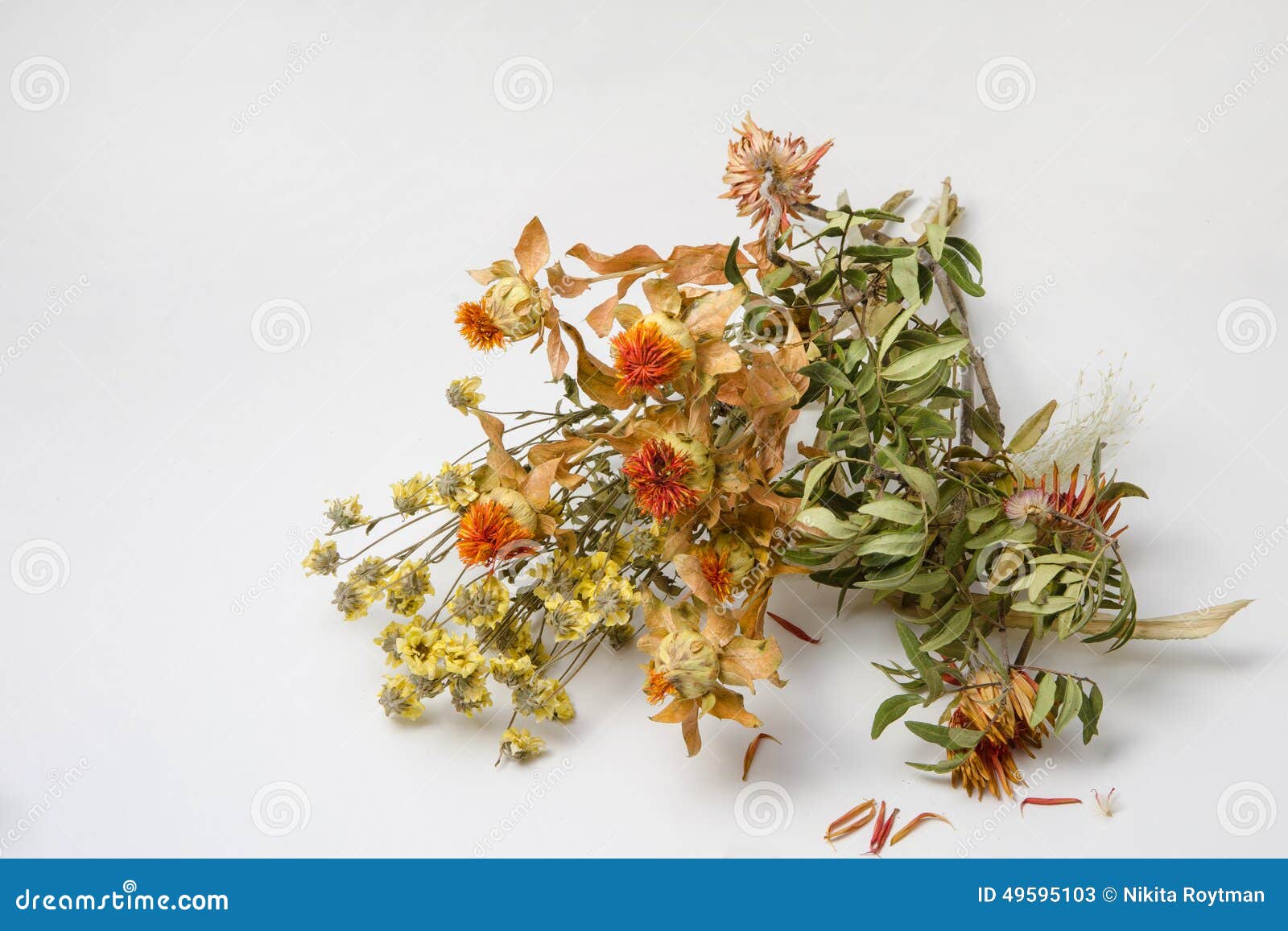 Old Withered Flowers Royalty-Free Stock Image | CartoonDealer.com #66565810