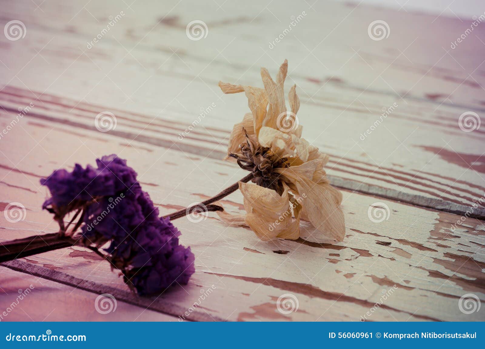 Withered flowers stock image. Image of flowers, flower - 56060961