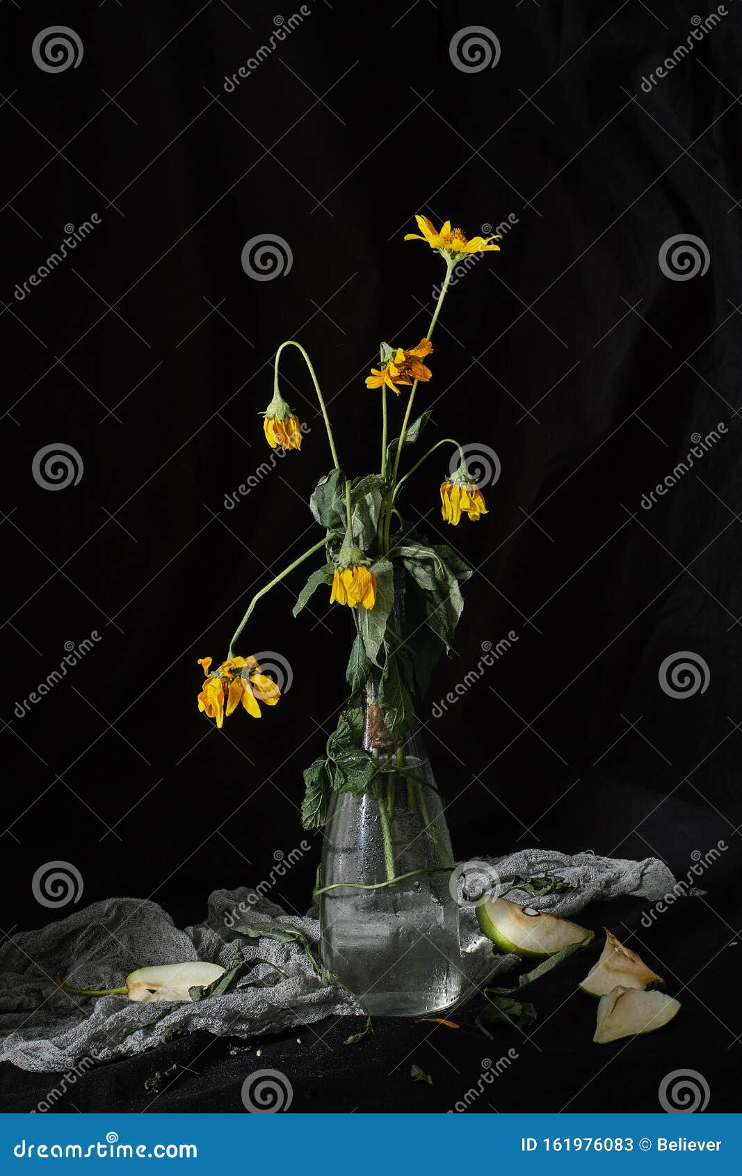 Withered Flowers in a Vase on a Black Background. Stock Image - Image ...