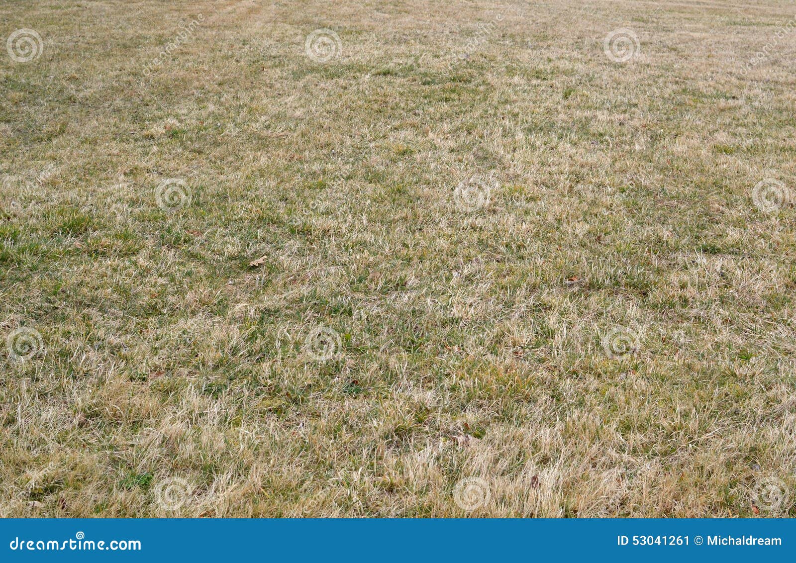 Withered Grass - Perspective - 0564 Stock Image - Image of withered ...