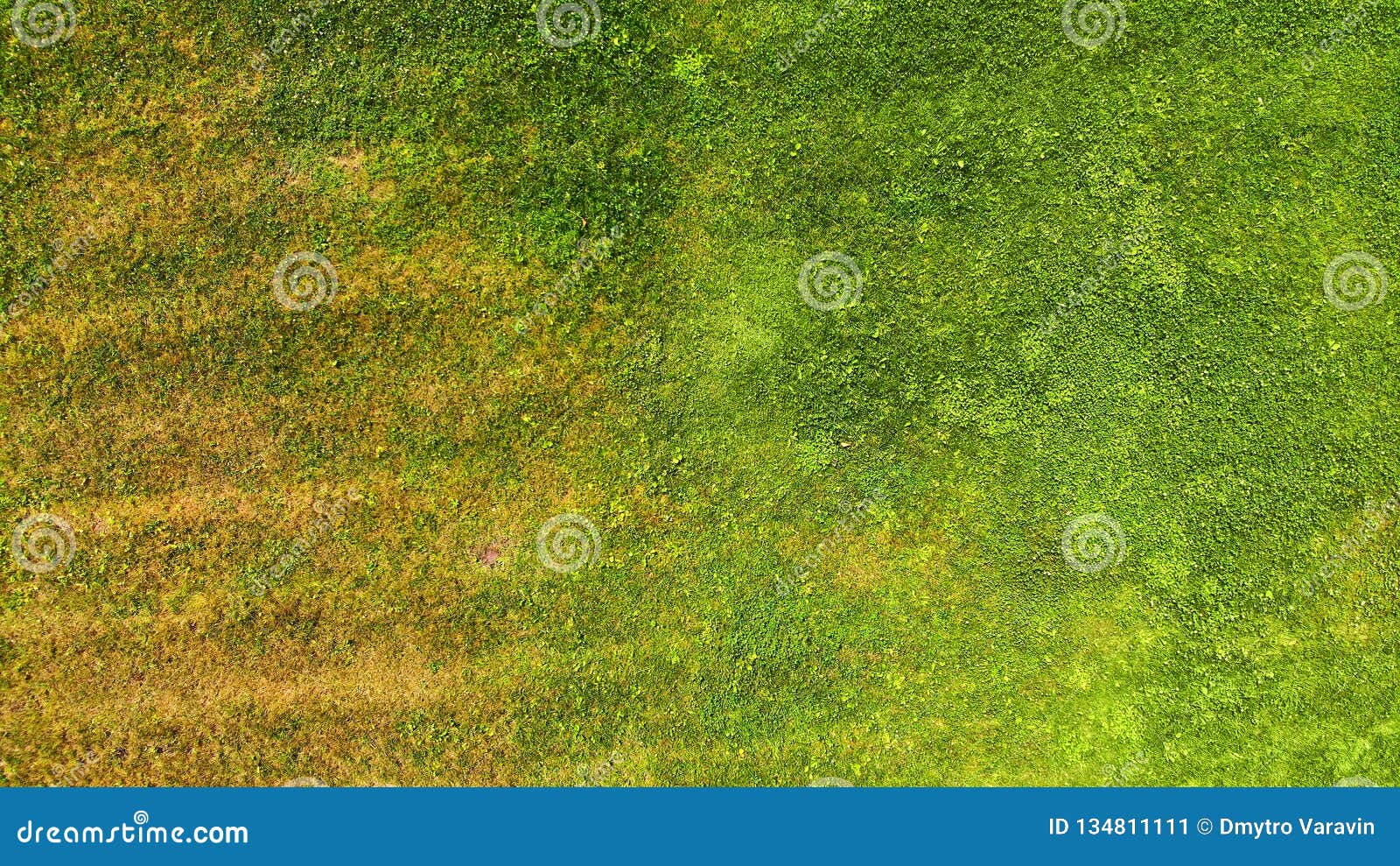 Aerial. Green Grass Texture Background. Stock Image - Image of green ...