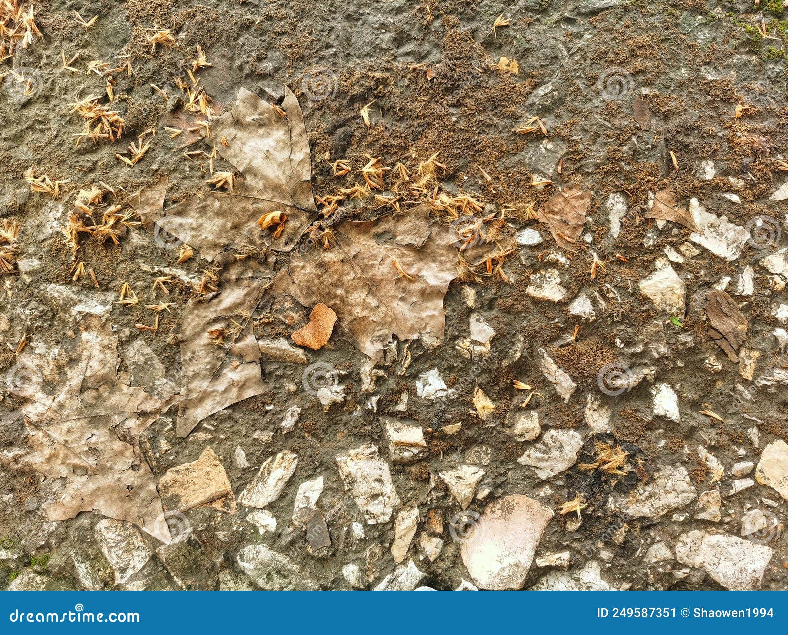 Withered Moss Covered Rocks Stock Image - Image of formations, metsovo ...