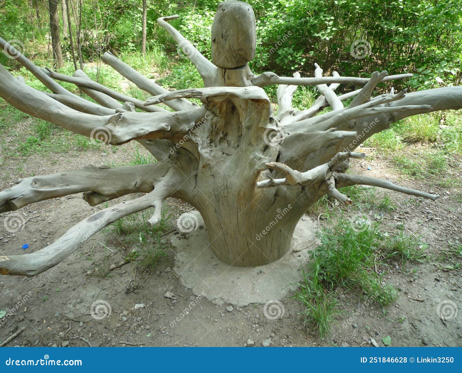 Withered Natural Tree Sculpture 1 Stock Photo - Image of trunk, yard ...