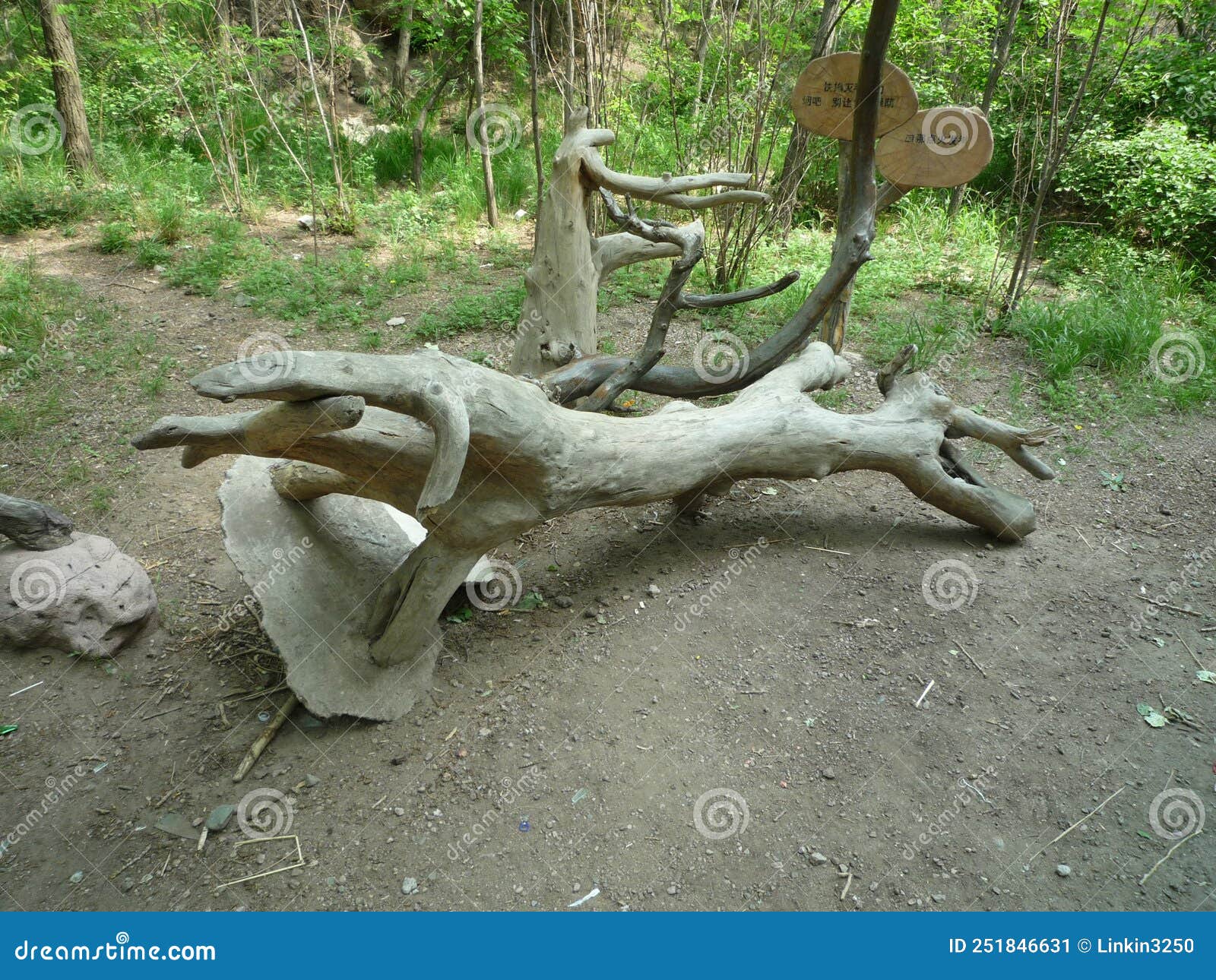 Withered Natural Tree Sculpture Stock Image - Image of flower, works ...