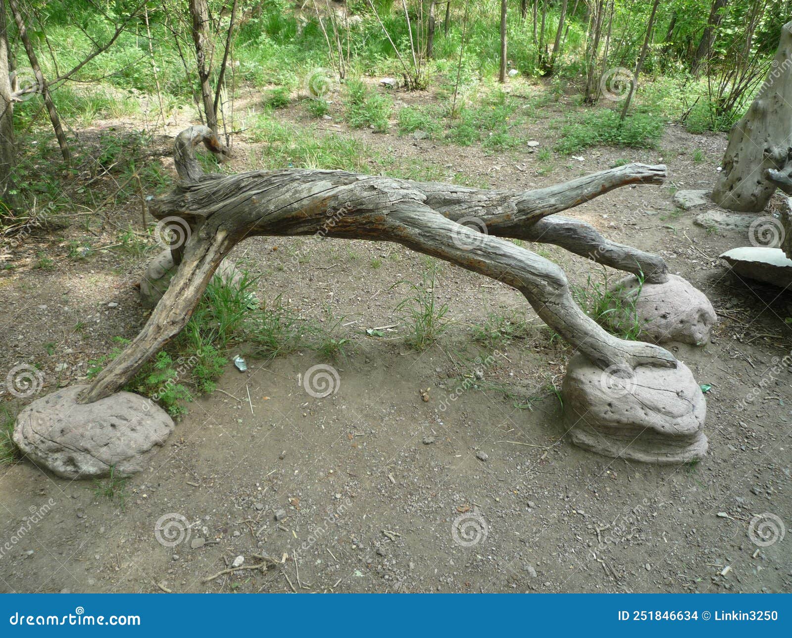 Withered Natural Tree Sculpture Stock Photo - Image of soil, garden ...