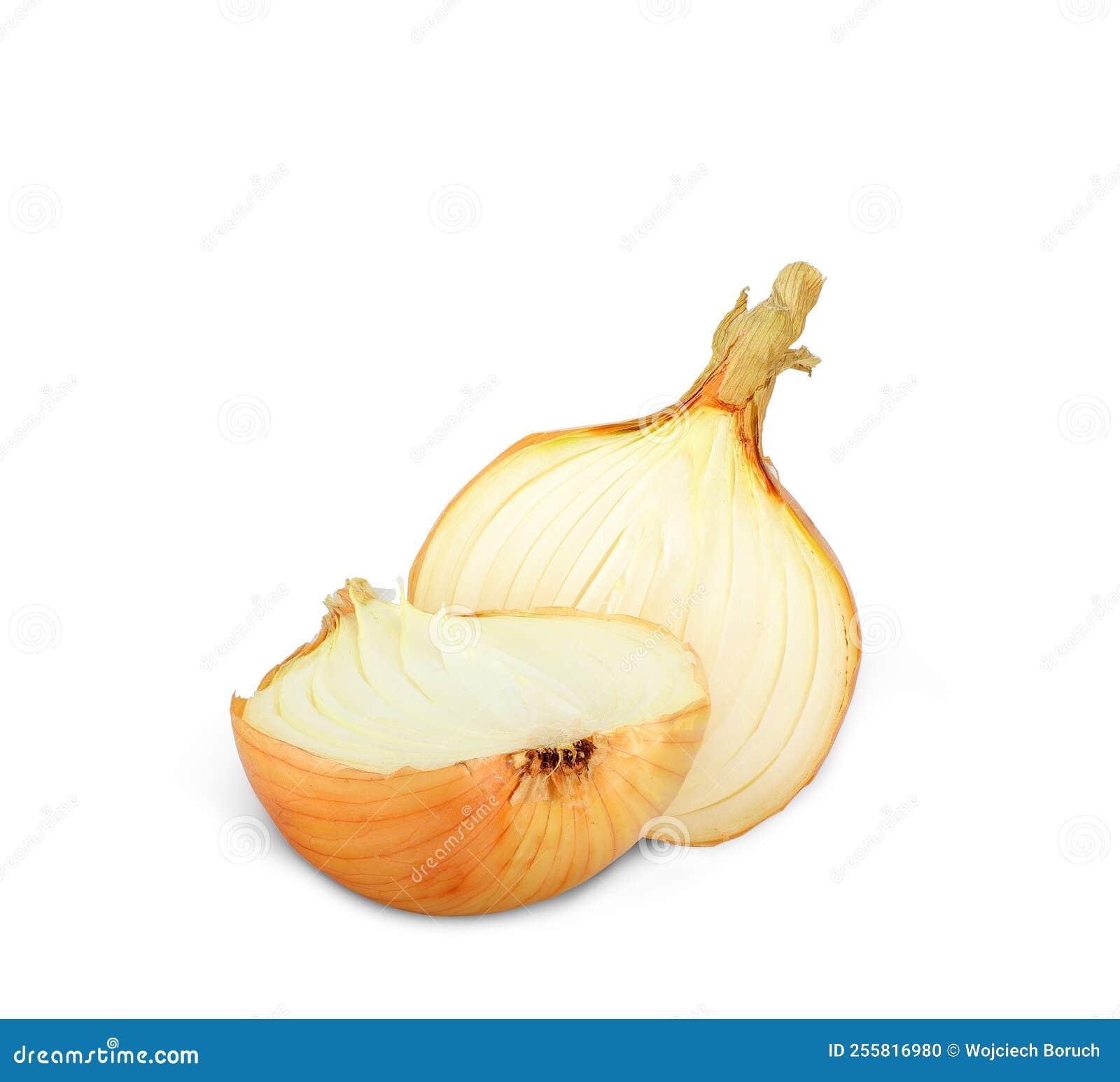 A Withered Onion Cut in Half Stock Photo - Image of shadow, sectioned ...