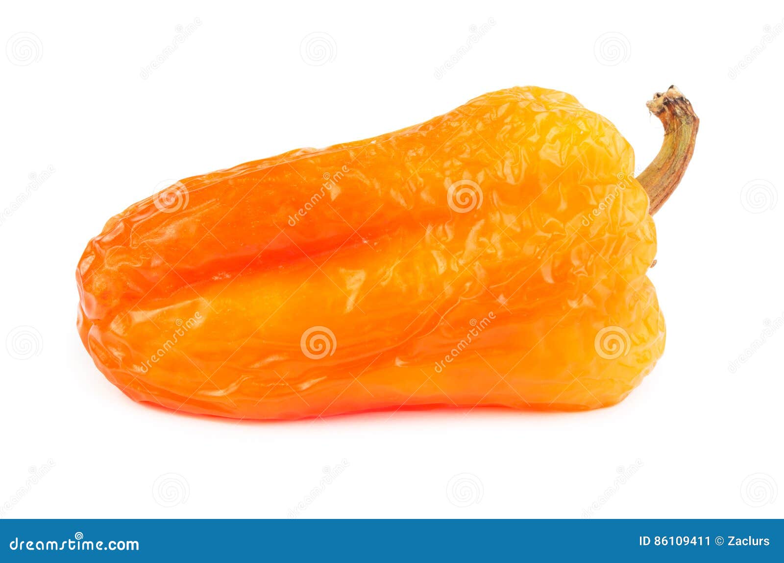 Withered Orange Bell Pepper Isolated Stock Image - Image of rotten ...
