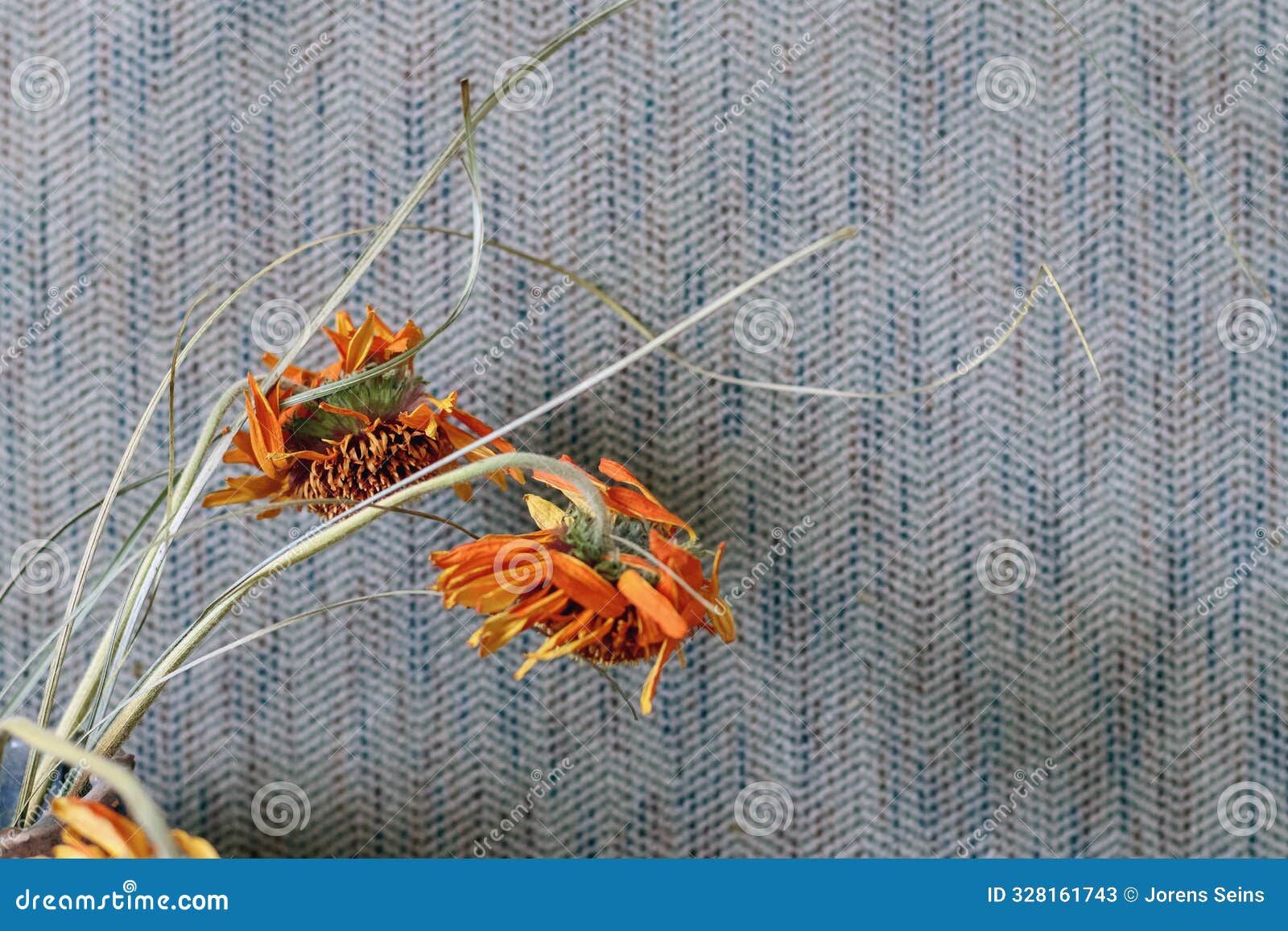 . Withered Orange Flower on a Tree Stock Image - Image of yellow ...