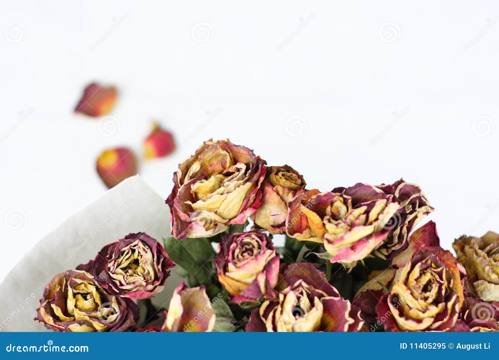 Withered rose bouquet stock image. Image of nature, petal - 11405295