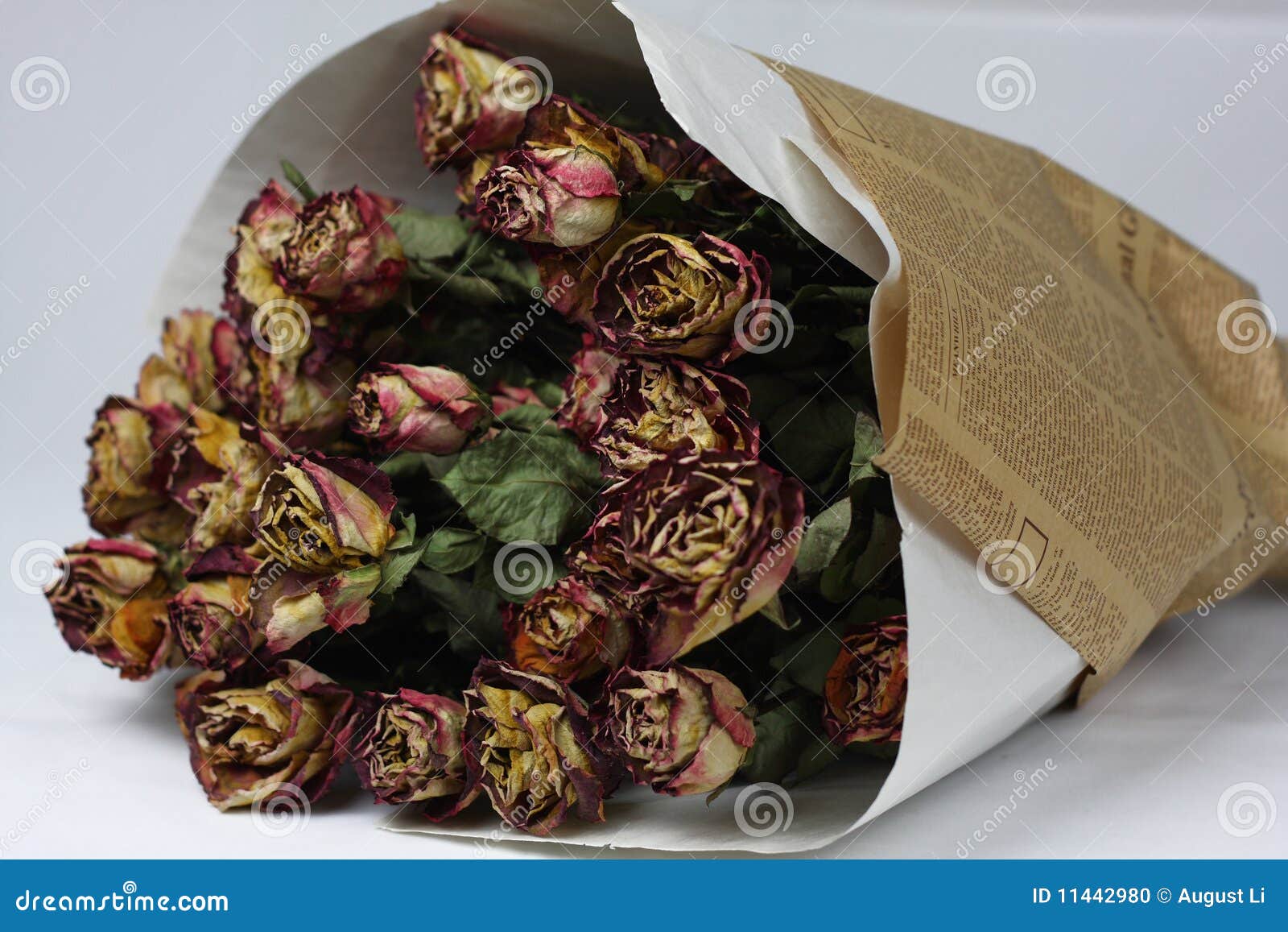 Withered rose bouquet stock photo. Image of floral, blossom - 11442980