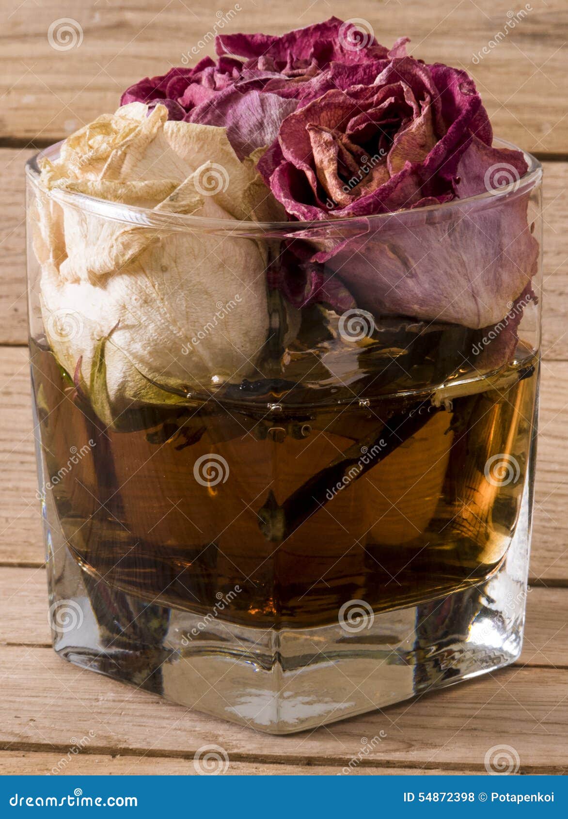 Withered roses stock photo. Image of color, reflection - 54872398