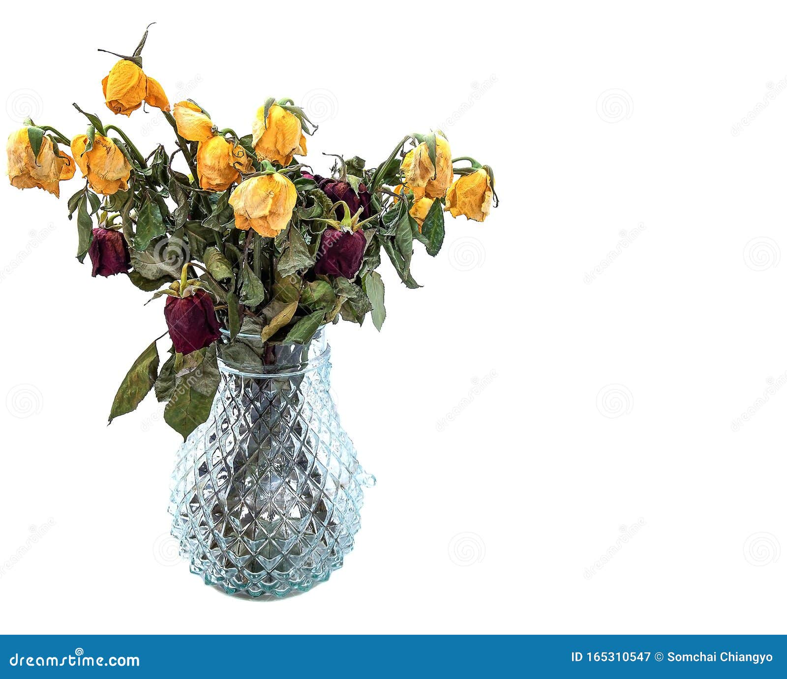 Wilted rose in a vase stock image. Image of love, beauty - 165310547