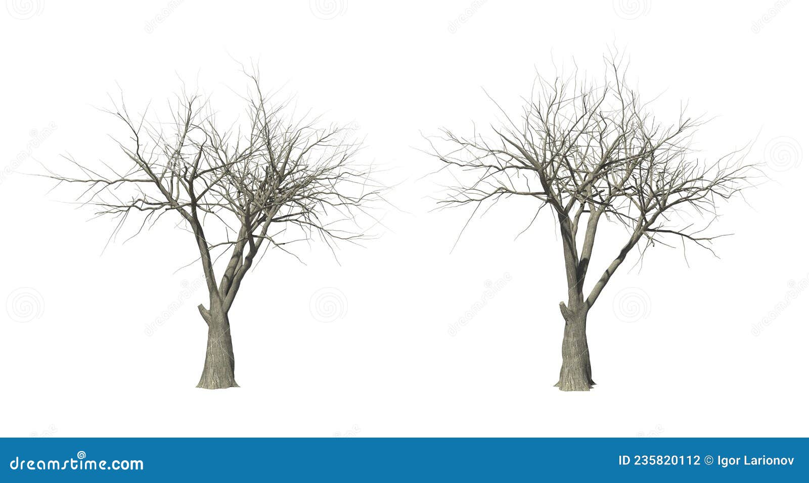 Old Withered Tree Cartoon Vector Clipart | CartoonDealer.com #41776513