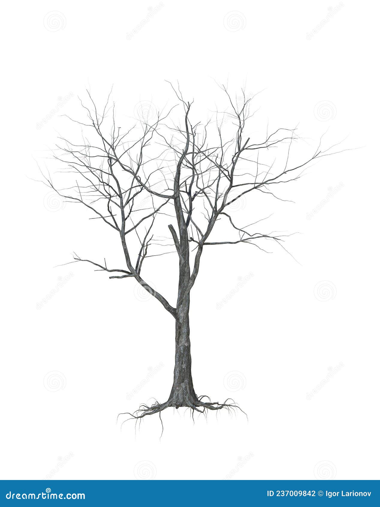 Old Withered Tree Cartoon Vector Clipart | CartoonDealer.com #41776513