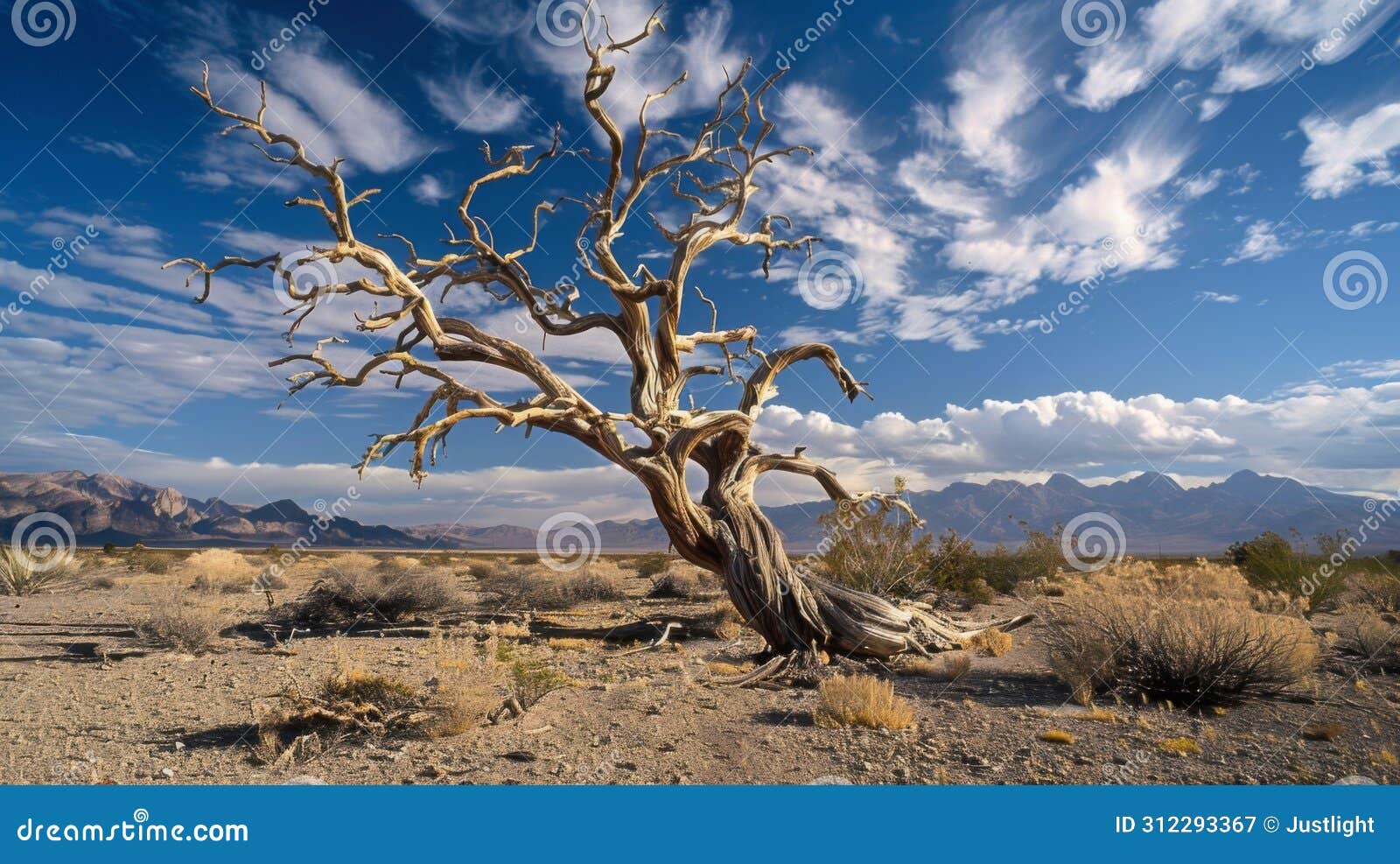 A Withered Tree Stands Alone in the Desert Its Leaves Long Gone and Its ...