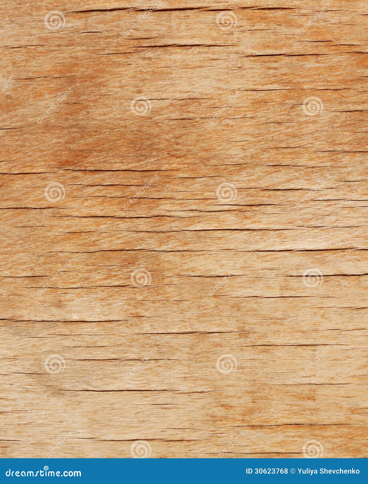 Withered Wooden Texture Flecked with Cracks Stock Photo - Image of ...