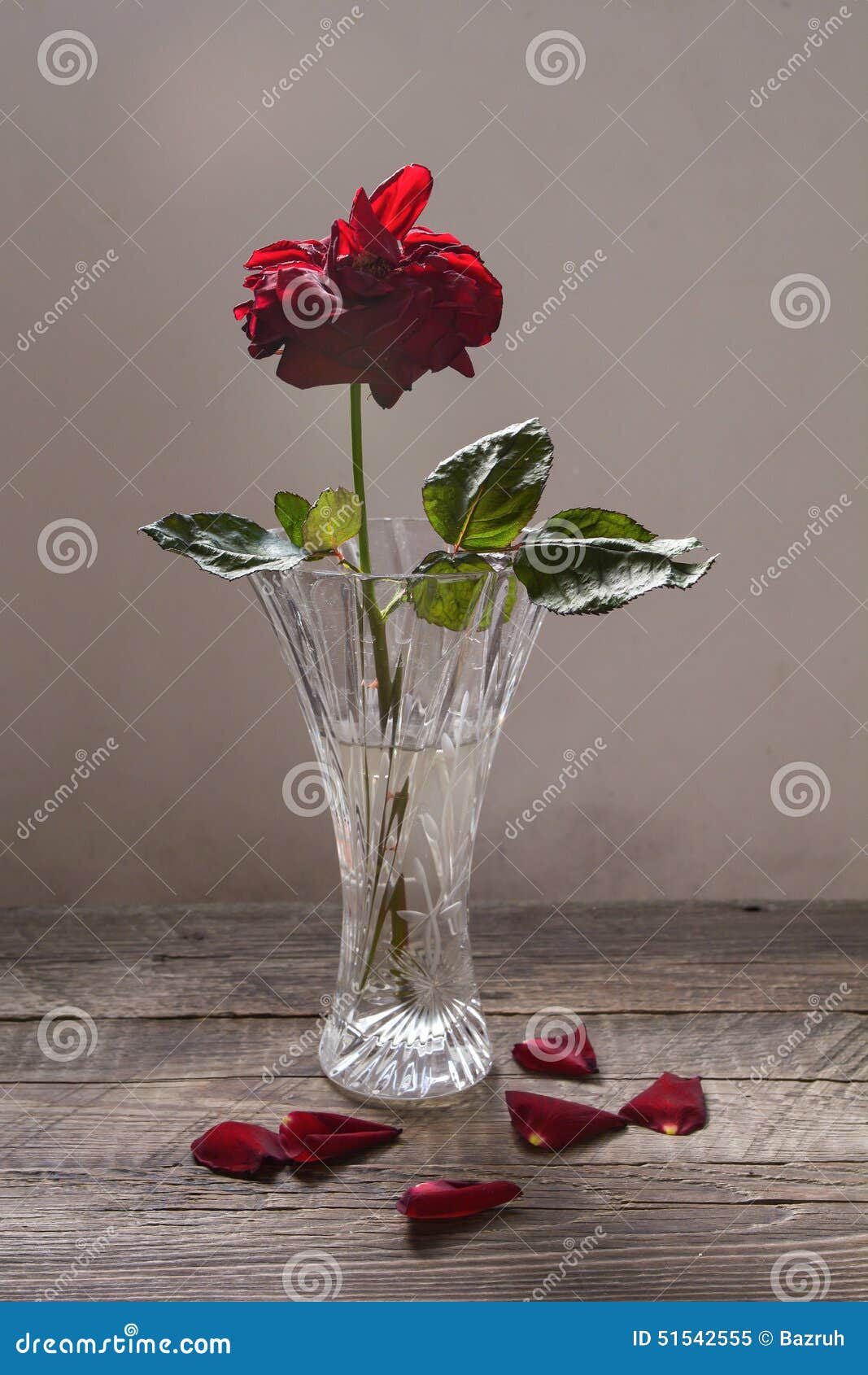 Withering Red Rose in a Vase Stock Image - Image of flower, abstract ...