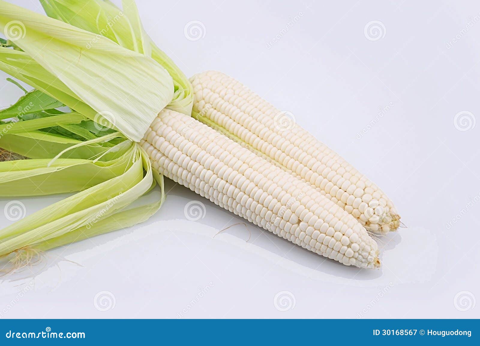 Graan stock afbeelding. Image of daling, tuin, voedsel - 30168567