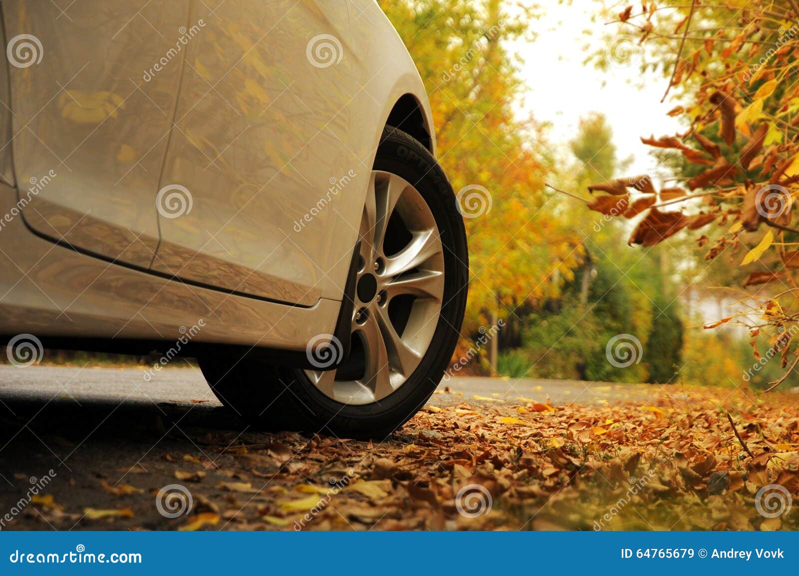 Witte auto en de herfst stock afbeelding. Image of bladeren - 64765679