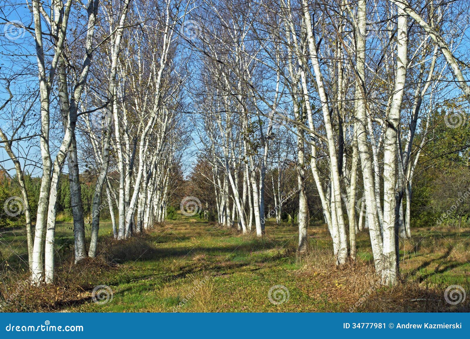 Witte Berk stock afbeelding. Image of landschap, seizoenen - 34777981