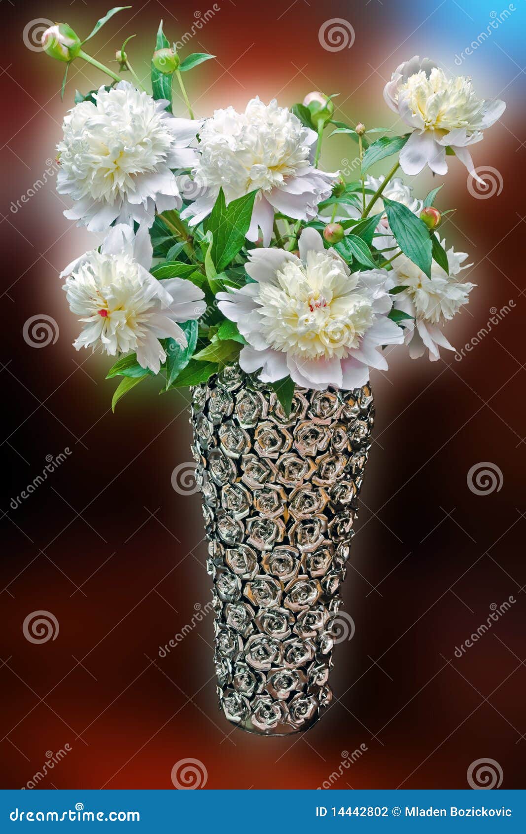 Witte Bloemen in Decoratieve Vaas Stock Foto - Image of luxe, gegevens ...