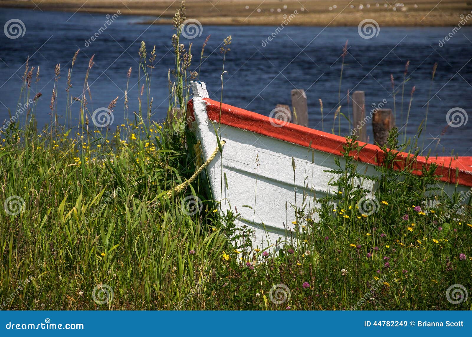 Witte Boot Met Rode Versiering Stock Afbeelding - Image of houten, boot ...