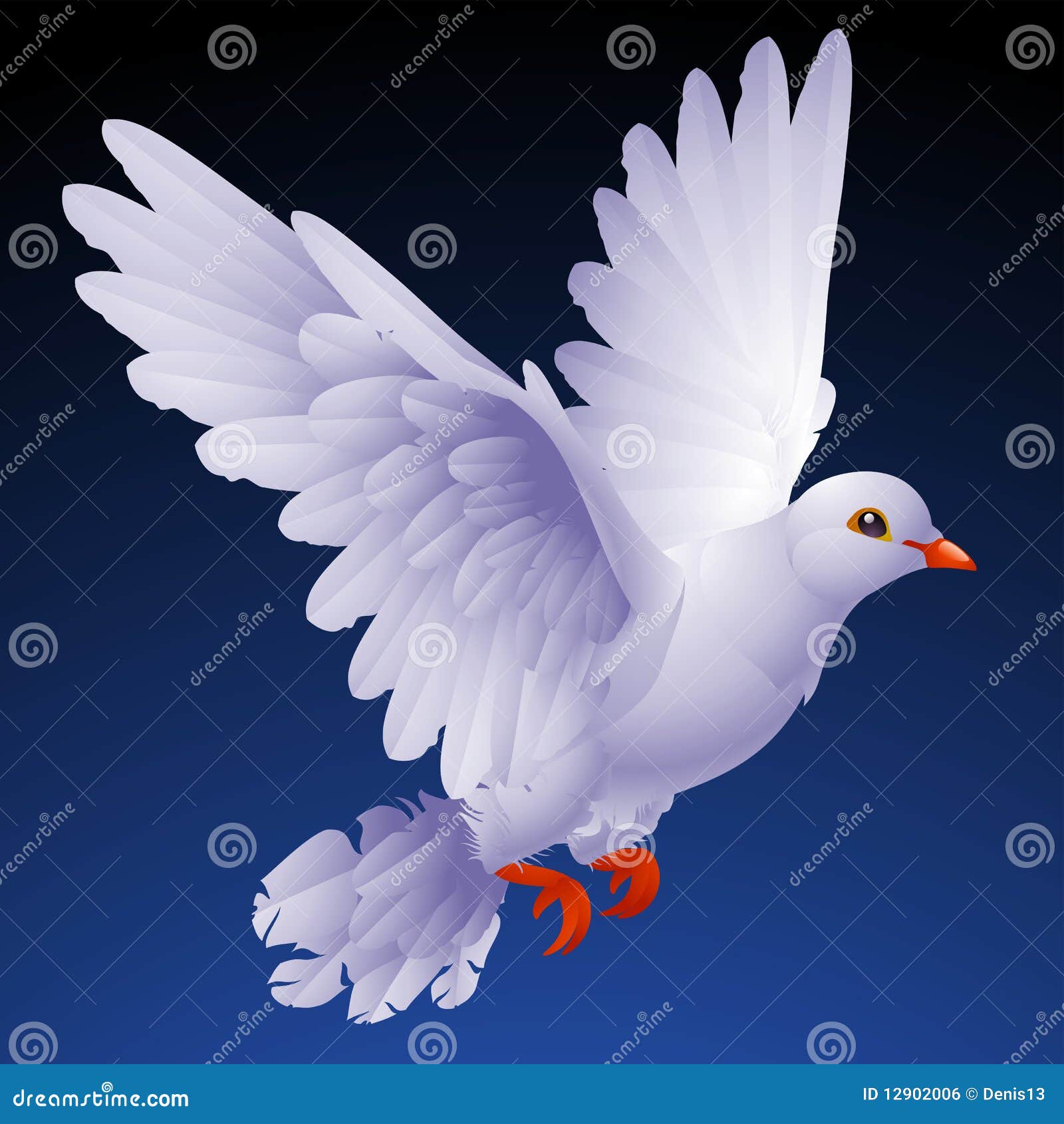 Witte duif vector illustratie. Illustration of wereld - 12902006