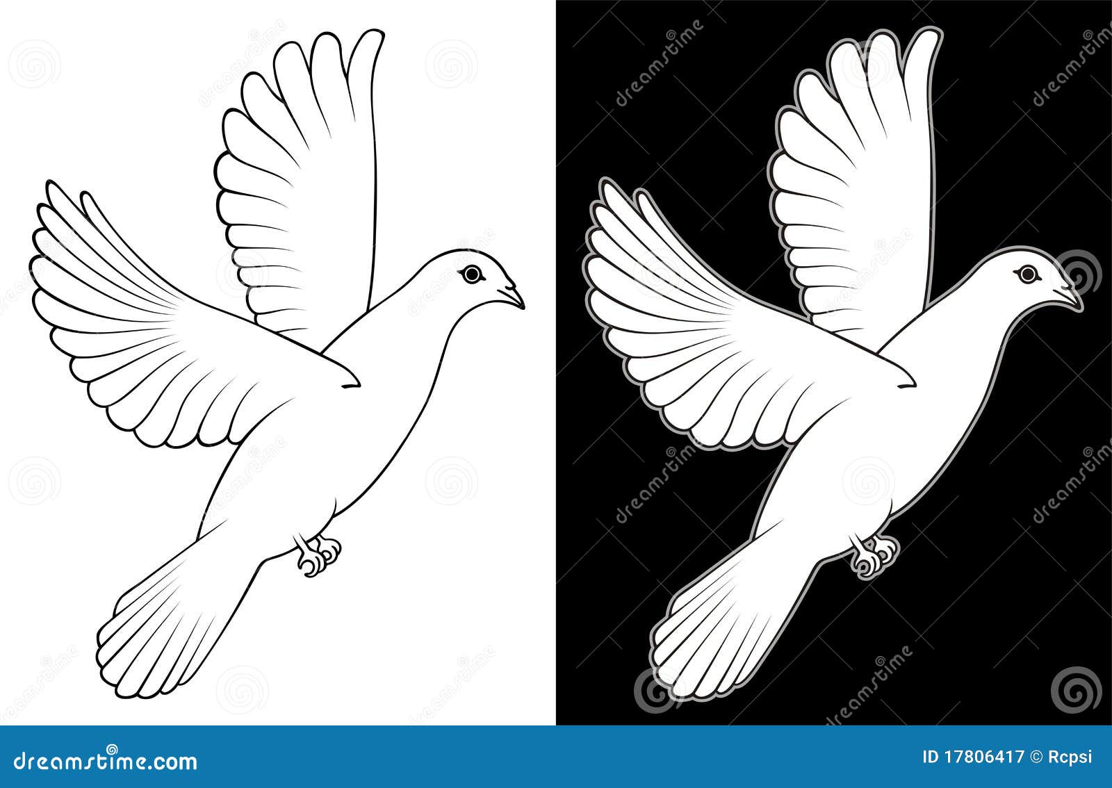 Witte Duif vector illustratie. Illustration of vliegen - 17806417