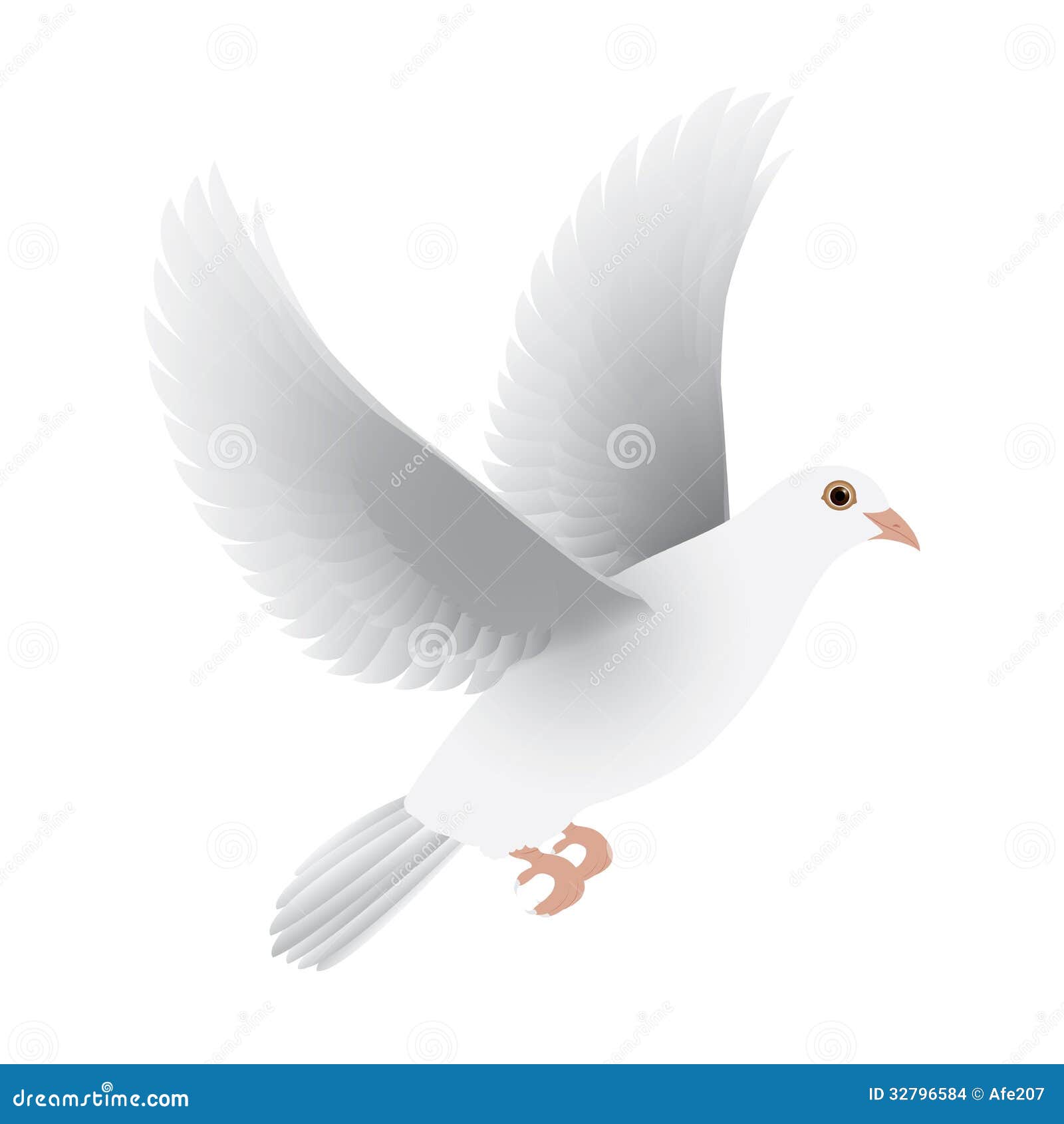 Witte Duif Geïsoleerde Vector Vector Illustratie - Illustration of ...